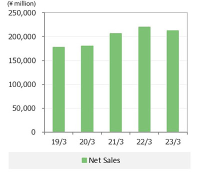 Financial Highlights | BELLUNA
